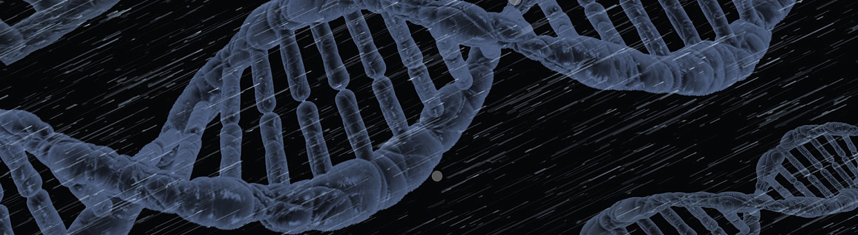 Генетики ТГУ зададут новые свойства бактериям, разлагающим нефть